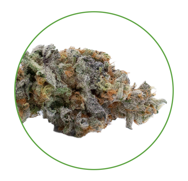 Mango Sour - EastCann